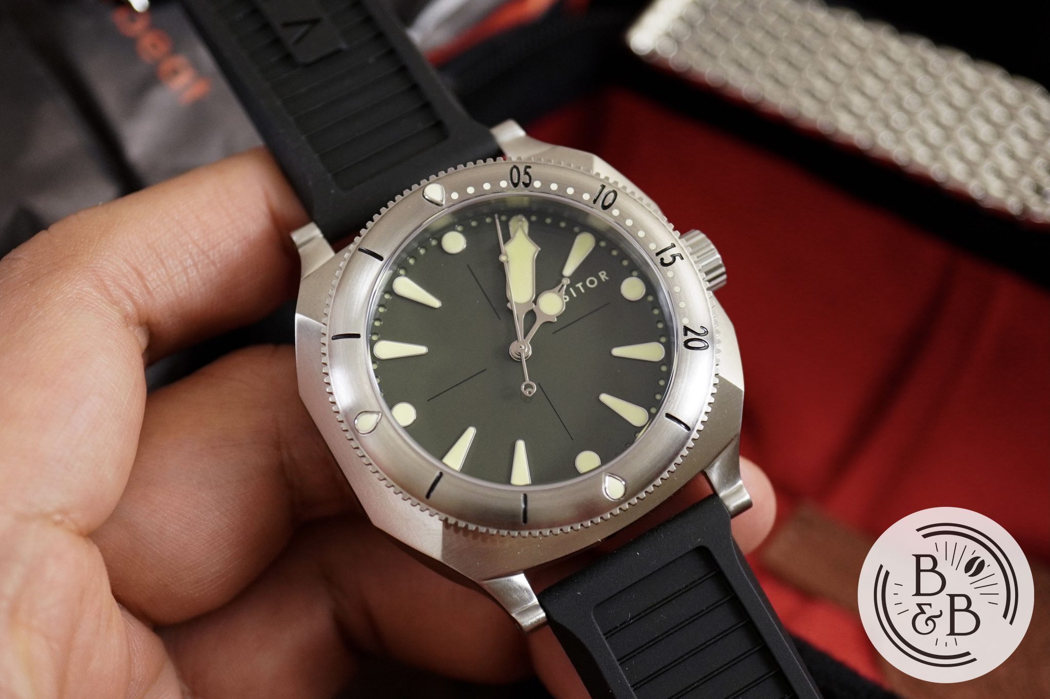Visitor Duneshore Shallows – Beans & Bezels