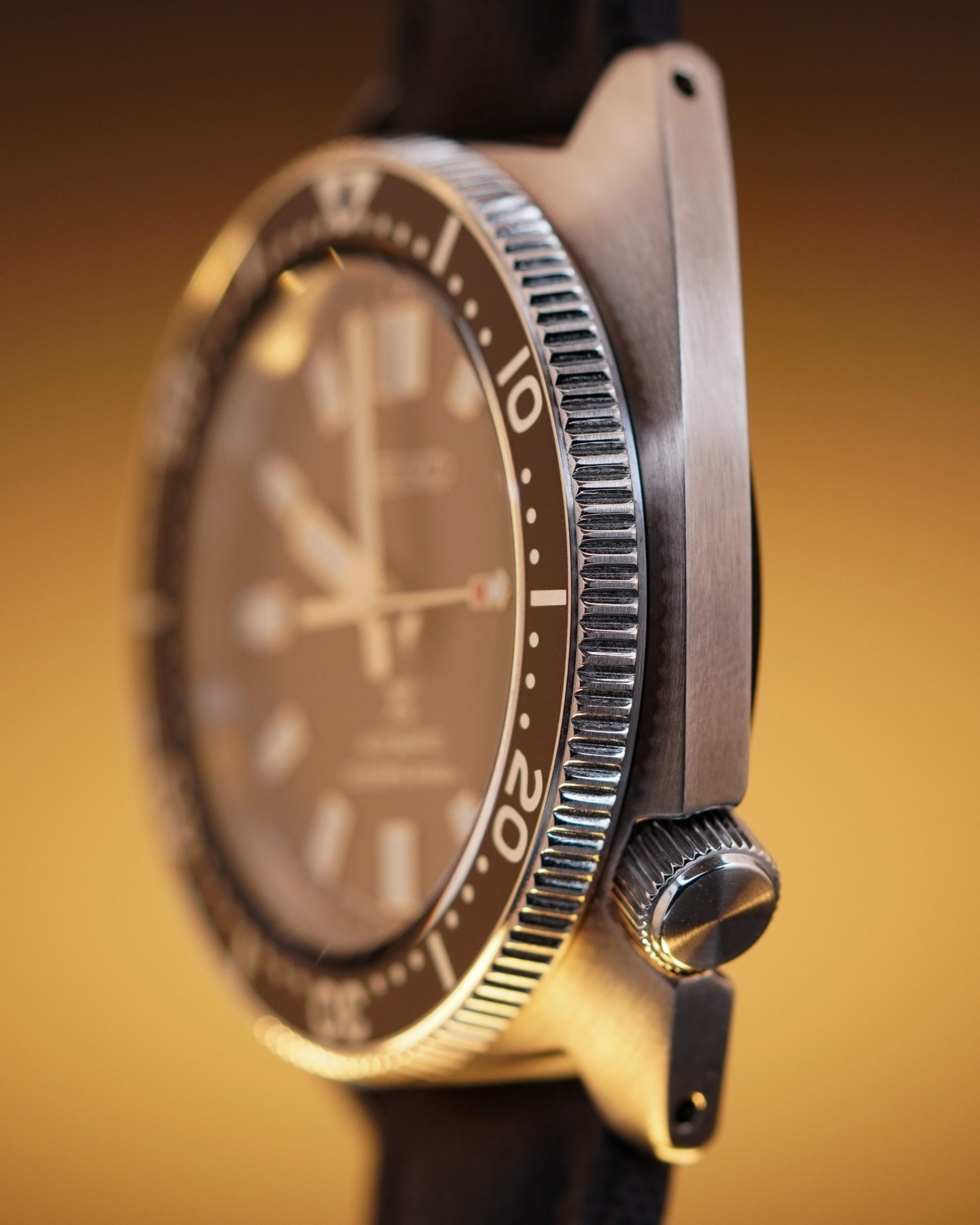 Seiko Prospex SPB317 ‘Slim Turtle’ – Beans & Bezels