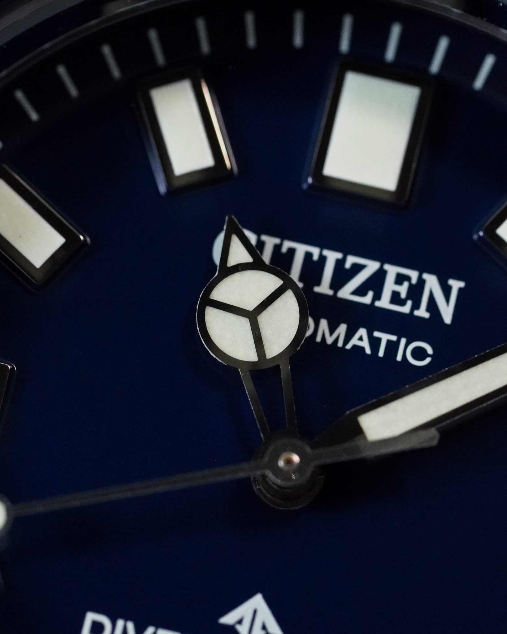 Citizen Promaster ‘Challenge’ Diver & Strapseeker Hybrid Straps – Beans ...