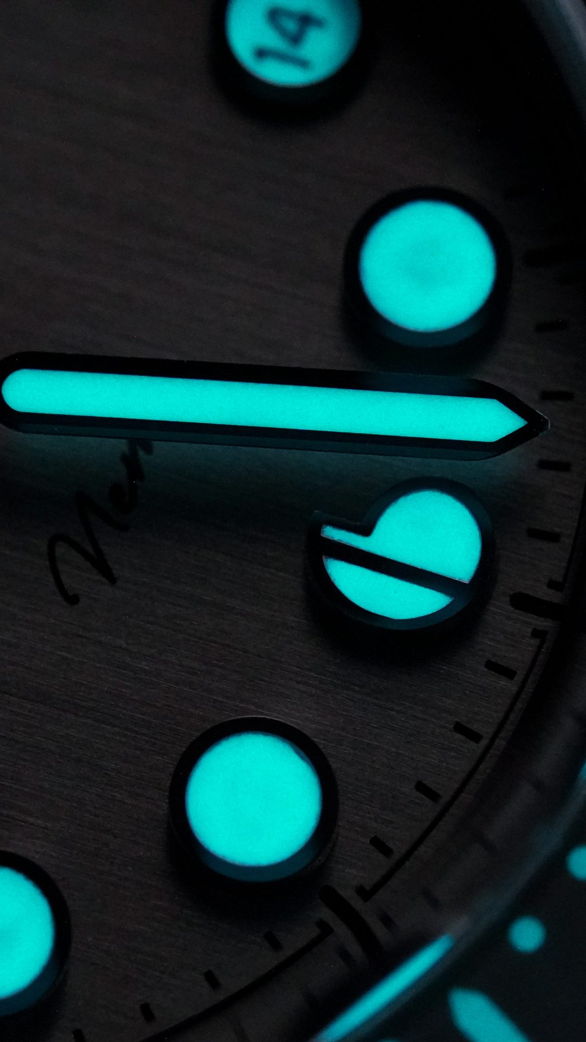 Horizon Nemo – Beans & Bezels